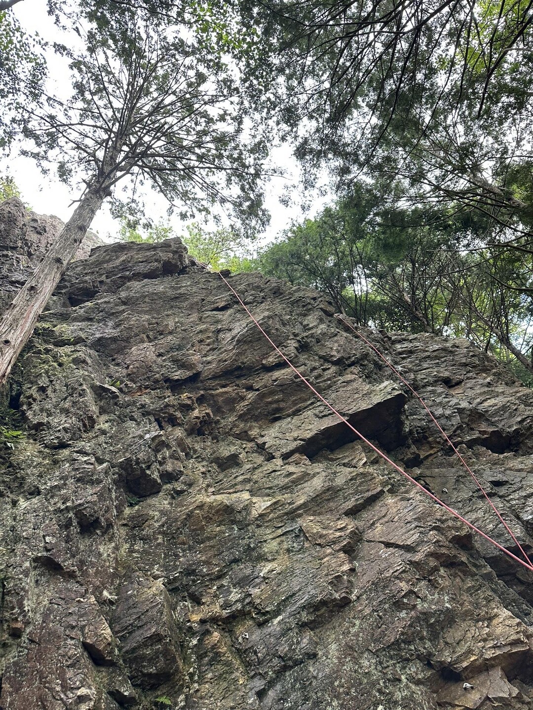 金毘羅山へGO‼️ クライミング練習 / ryosui_ さんの金毘羅山・翠黛山・焼杉山の活動データ | YAMAP / ヤマップ