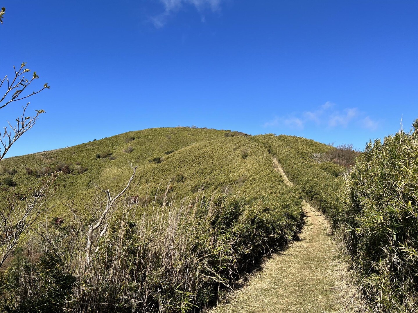 黒岳 / GENさんの箱根山・神山の活動データ | YAMAP / ヤマップ