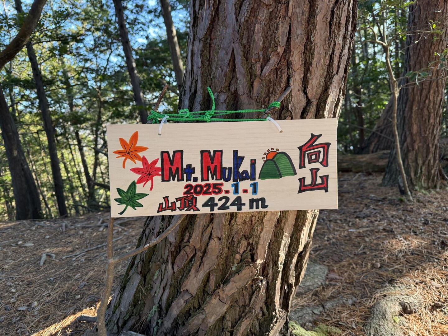 向山・貴船山・貴船山 716ピーク / S.T-1103さんの金毘羅山・翠黛山・焼杉山の活動データ | YAMAP / ヤマップ