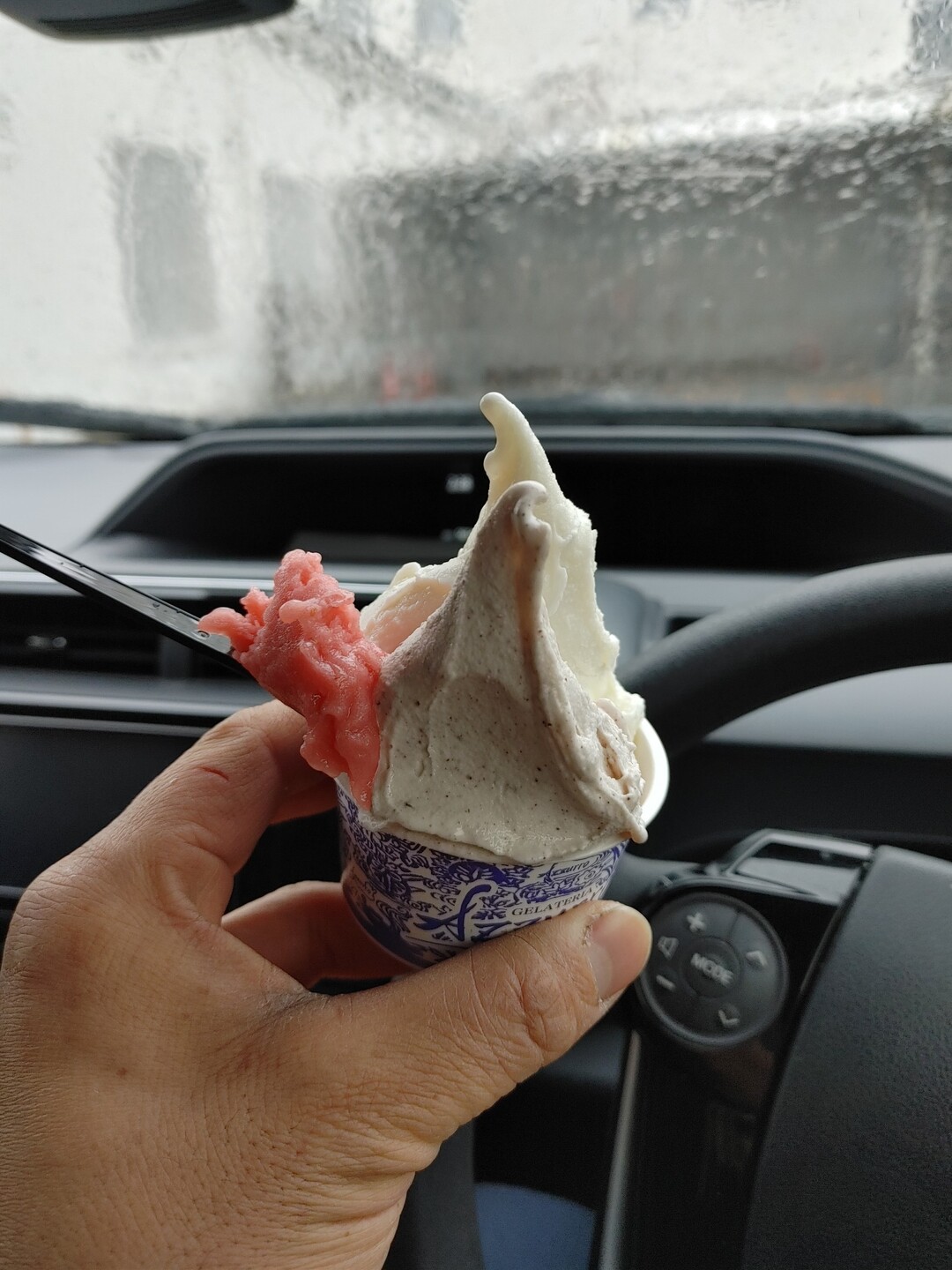 今日の彦根は、1日雨な為に、予定を変更し... / N-JUNさんのモーメント | YAMAP / ヤマップ