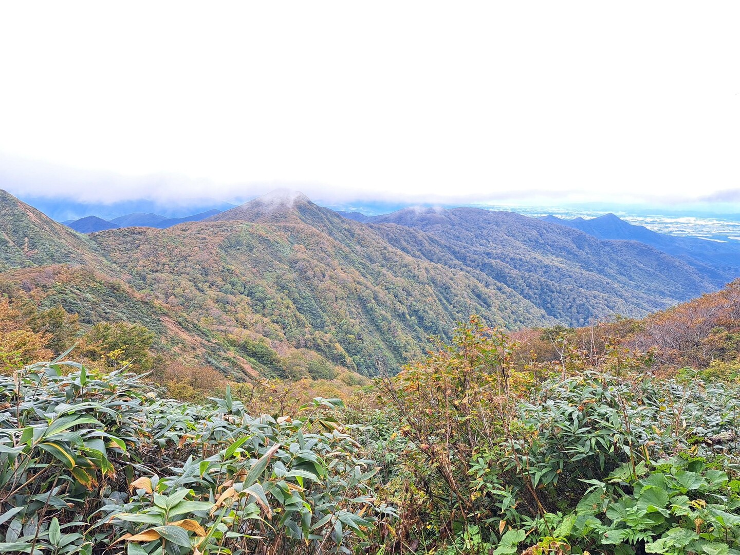 牛形山 / Ku-minさんの焼石岳・兎森山・鷲ヶ森山の活動データ | YAMAP / ヤマップ