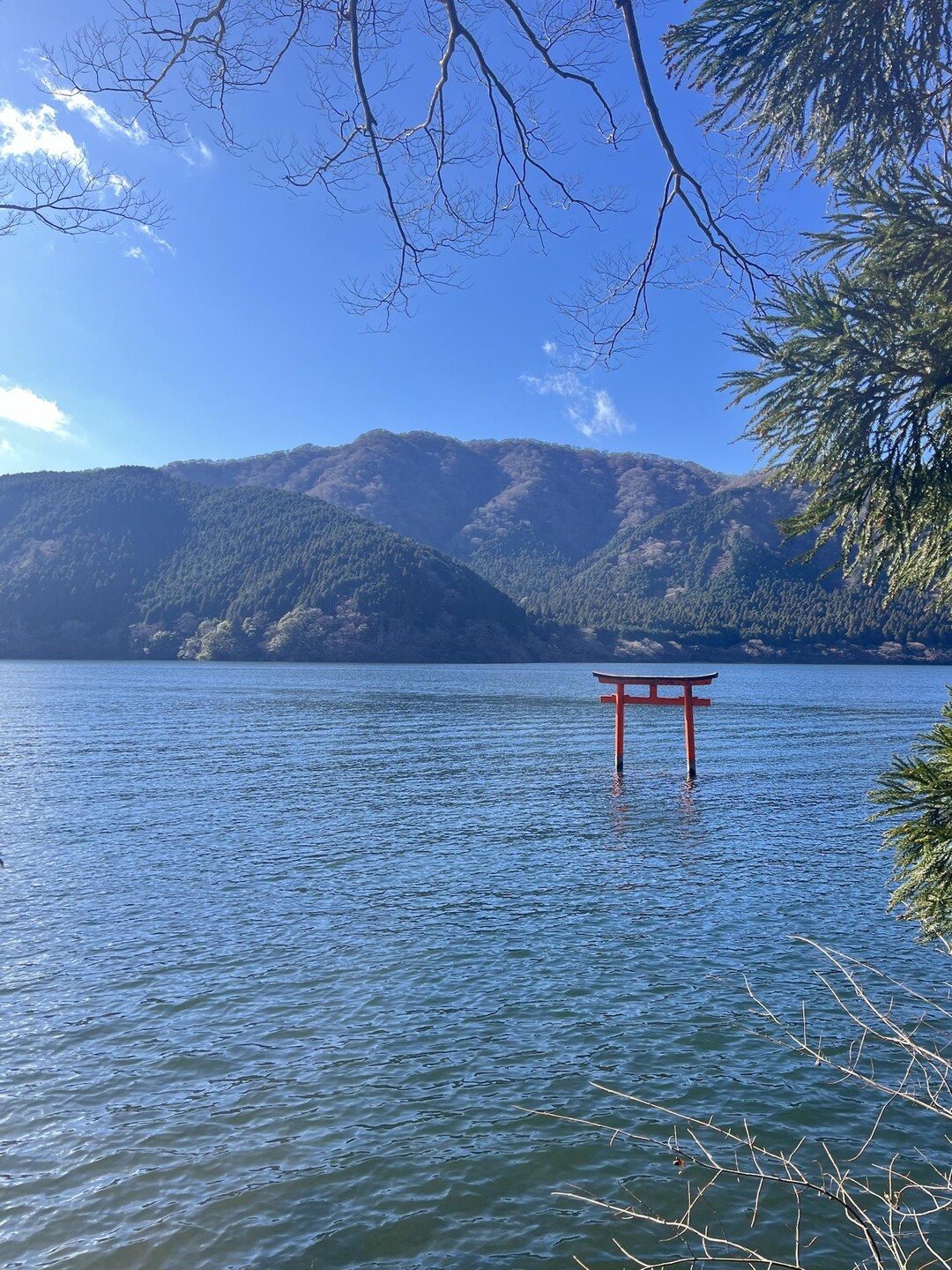 2025登り初め / RUBYさんの箱根山・神山の活動データ | YAMAP / ヤマップ