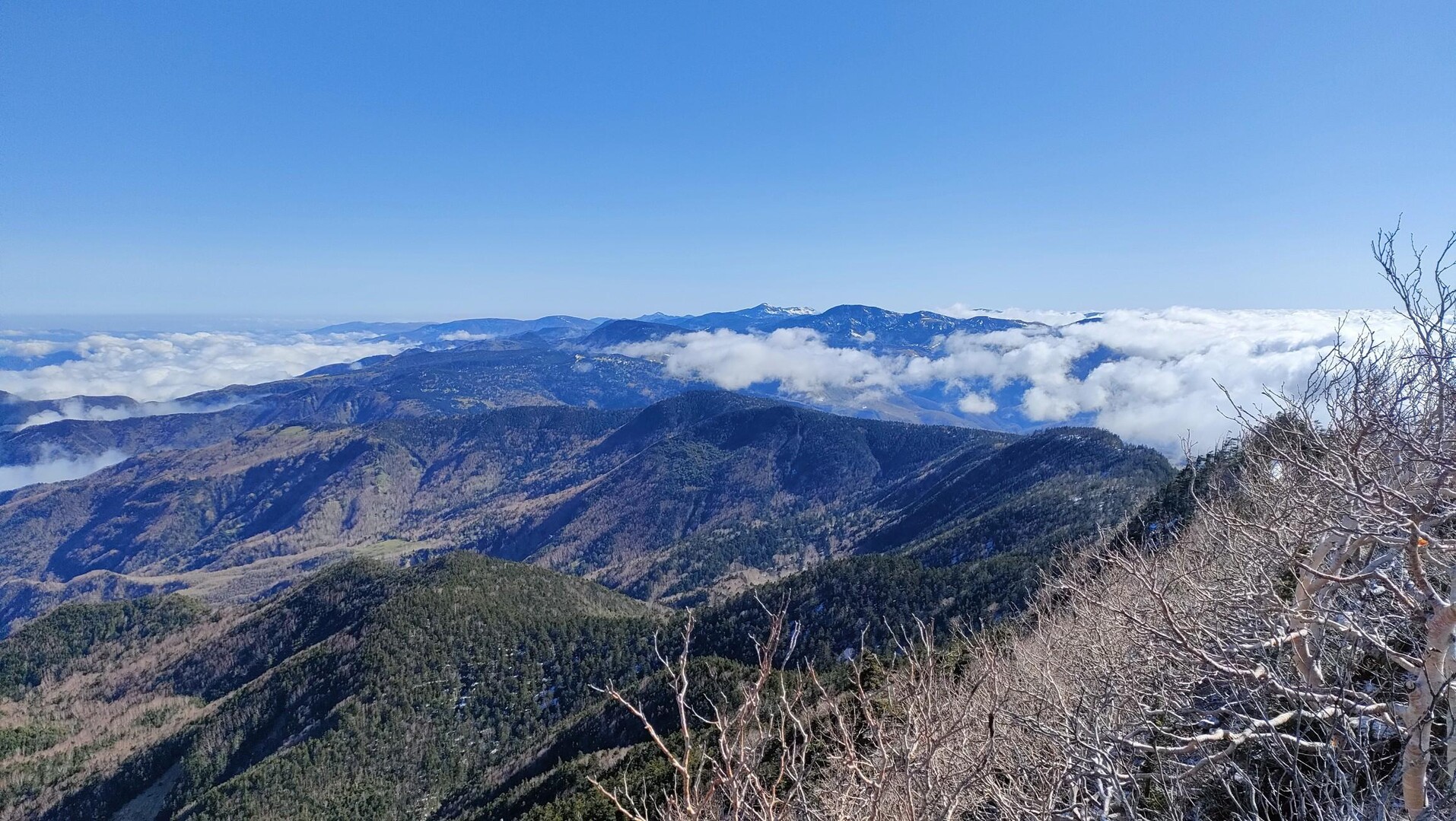 信州の美しさを知れる四阿山 / YK1989さんの四阿山・根子岳の活動データ | YAMAP / ヤマップ