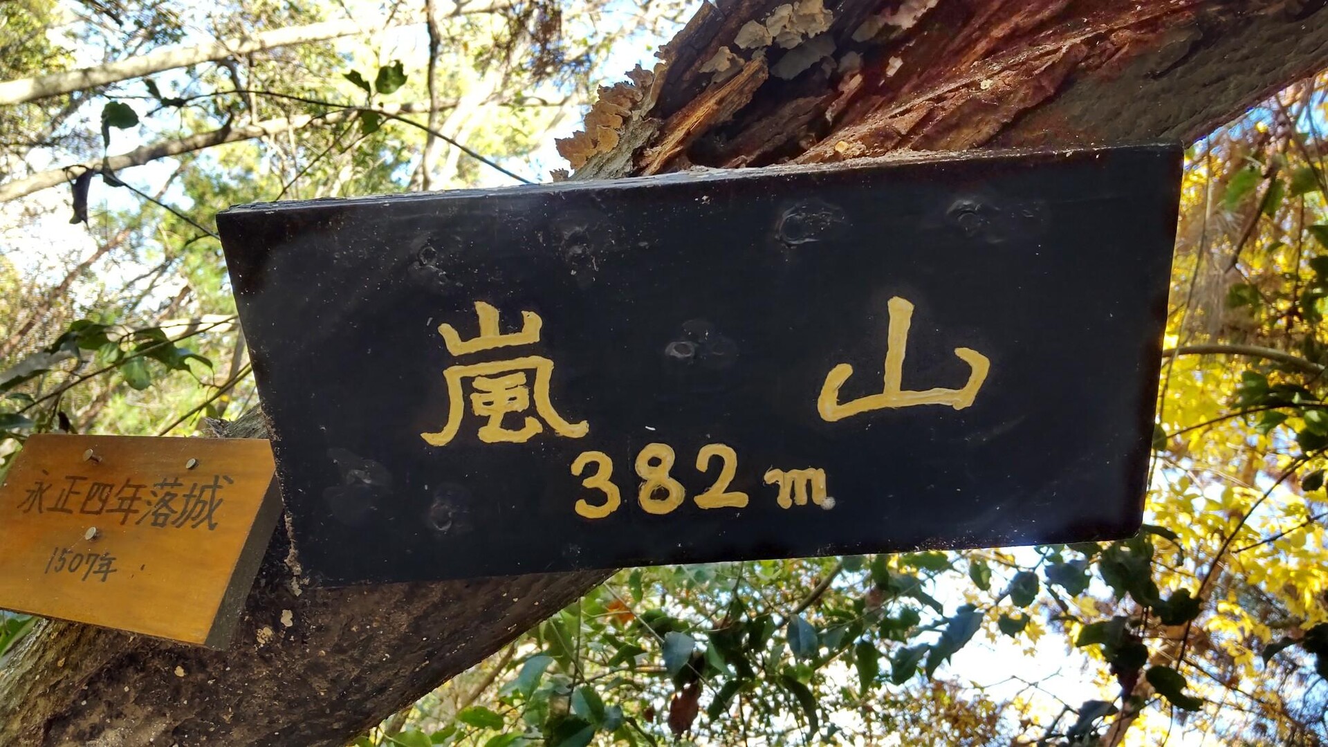 紅葉の嵐山を散策🍁 / harroさんの沓掛山・みすぎ山・唐櫃越の活動データ | YAMAP / ヤマップ