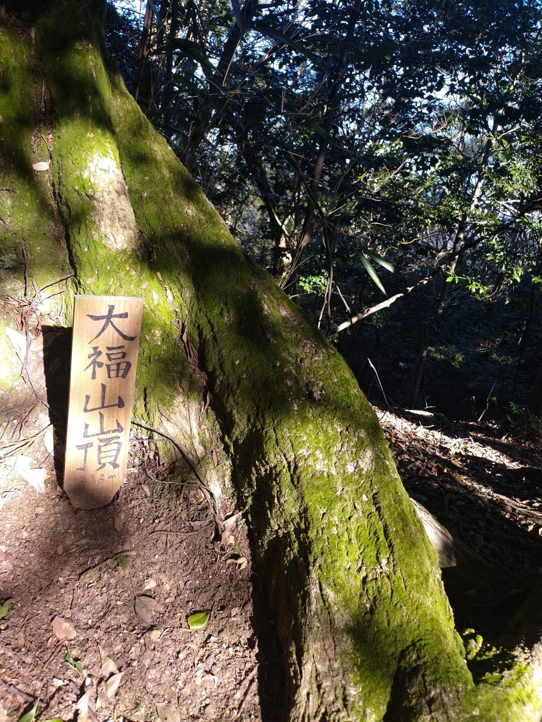 正月プチ旅&大福山🐾 / hachacha-umemeさんの大福山・梅ヶ瀬渓谷の活動データ | YAMAP / ヤマップ