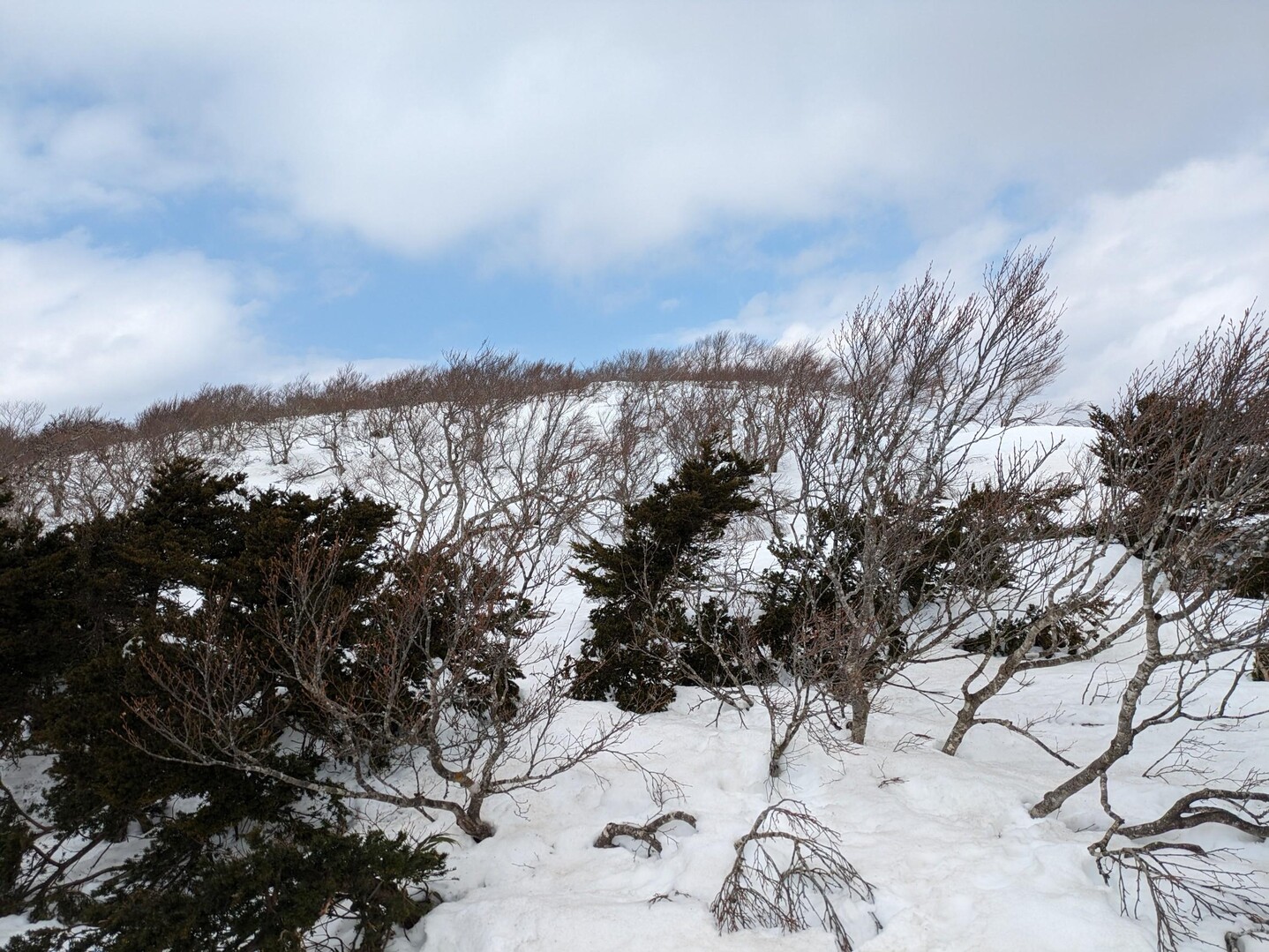 大東岳 / banyerさんの面白山・神室岳・大東岳・雨呼山の活動データ | YAMAP / ヤマップ