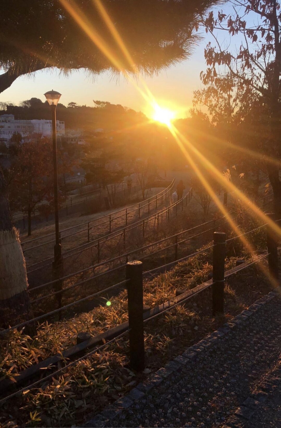 🐰 Happy New Year 20... / nyaoさんのモーメント | YAMAP / ヤマップ