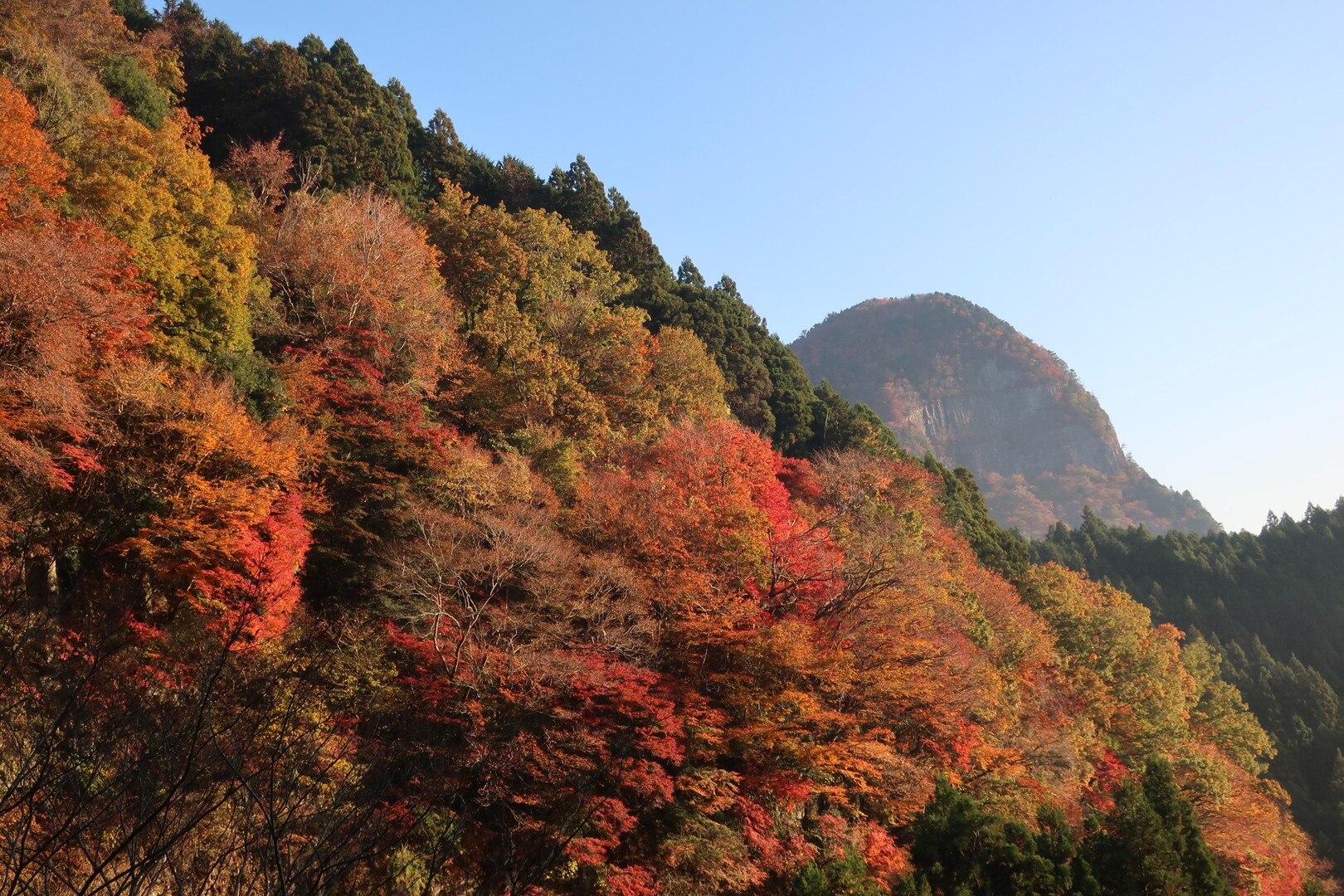兜岳＆鎧岳（秋）サンビレッジ曽爾～兜岳～鎧岳周回 / ukonさんの住塚山・兜岳・鎧岳の活動データ | YAMAP / ヤマップ