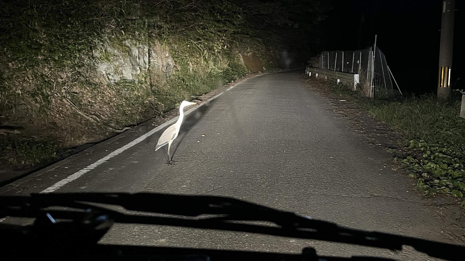 祖母山下山後【登山とキャンプ2日目•夜】... / jan4422さんのモーメント | YAMAP / ヤマップ