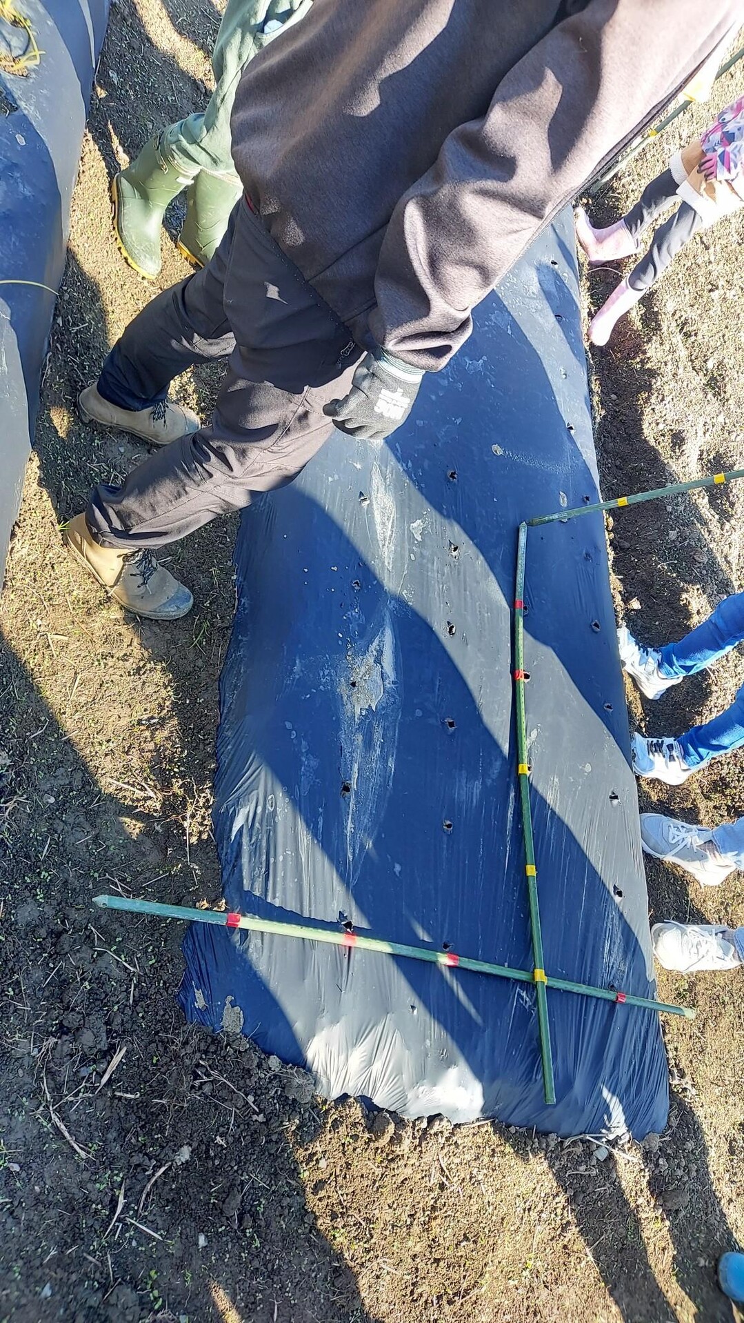 昨日は久しぶりのナイトハイク🥳 今日... / zunさんのモーメント | YAMAP / ヤマップ