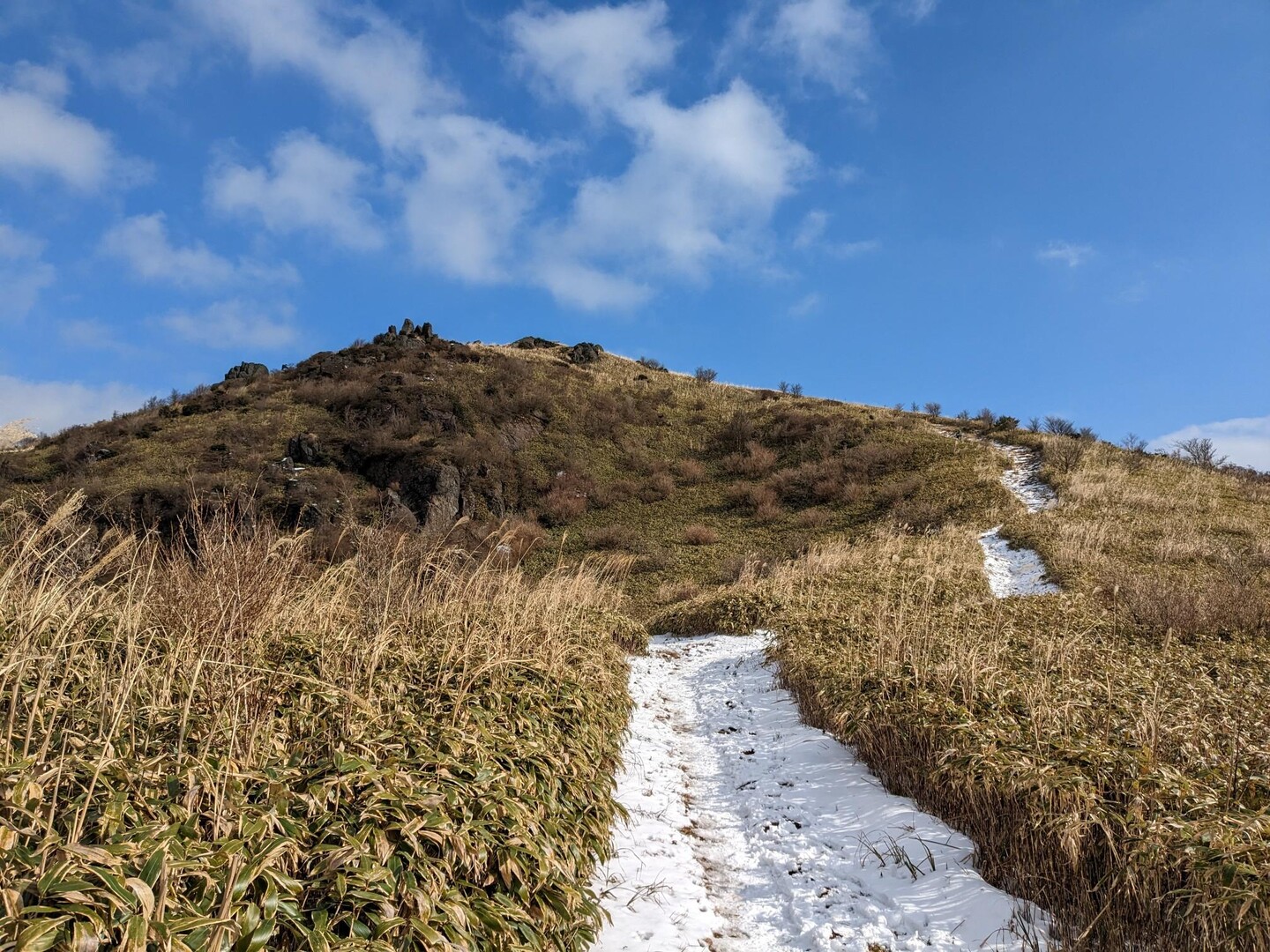 初の雪山へ💙鷹取山〜福智山 / rie.tさんの福智山・尺岳・雲取山の活動日記 | YAMAP / ヤマップ