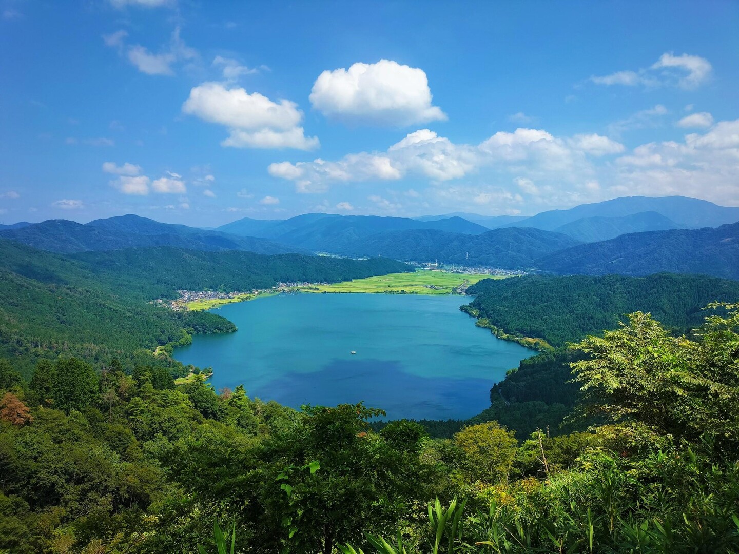山本山→🦟🪰→賤ヶ岳 / emiさんの賤ヶ岳・山本山の活動データ | YAMAP / ヤマップ