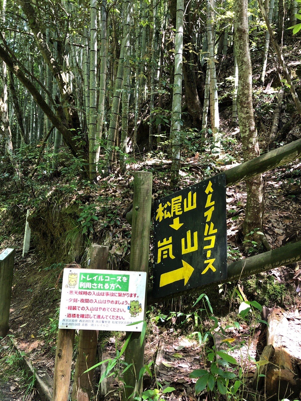 松尾山〜嵐山(嵐山城跡) / 山大好きまっちゃんさんの京都一周トレイルの活動データ | YAMAP / ヤマップ