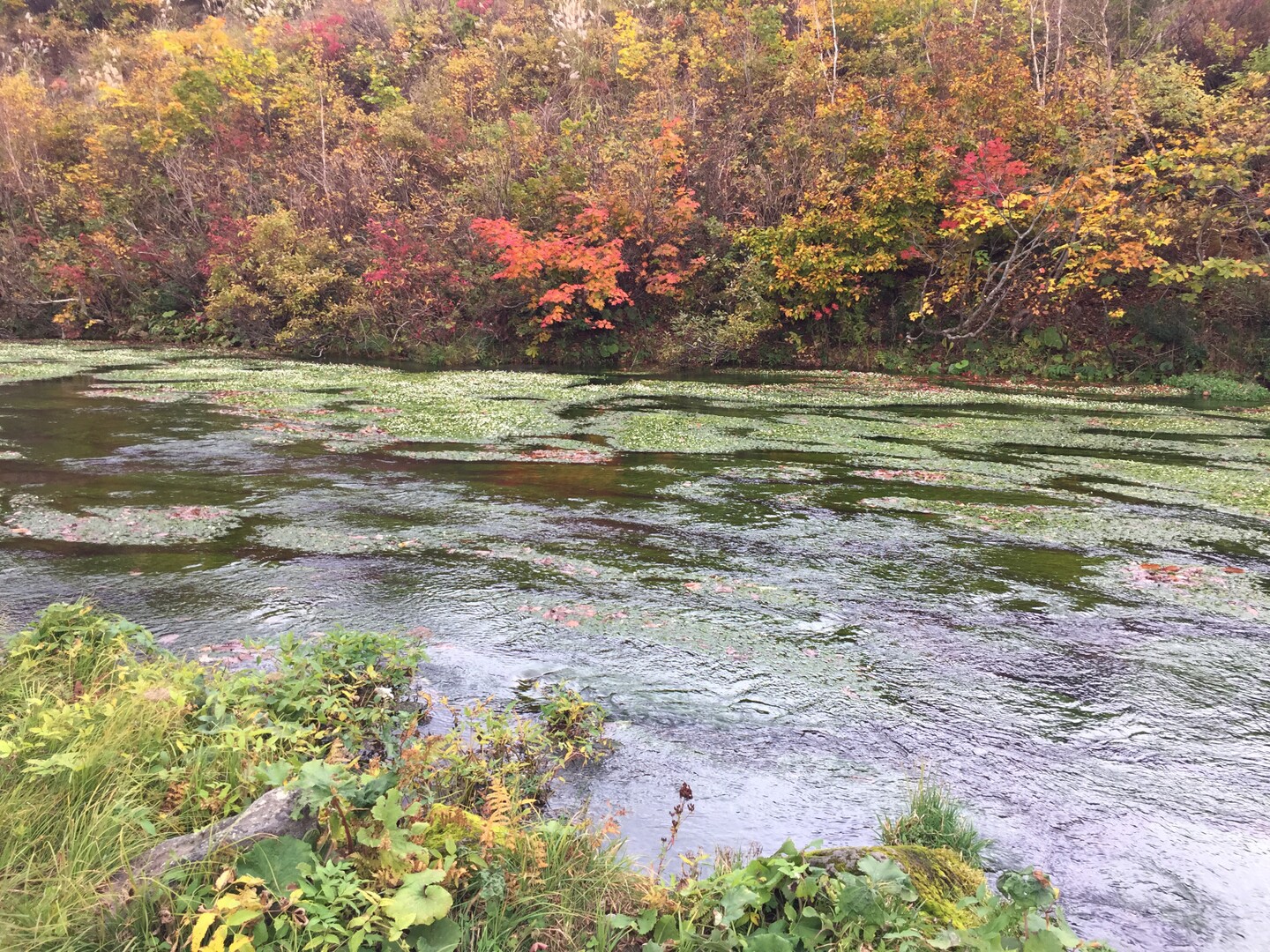 ZAKUのページ | YAMAP / ヤマップ