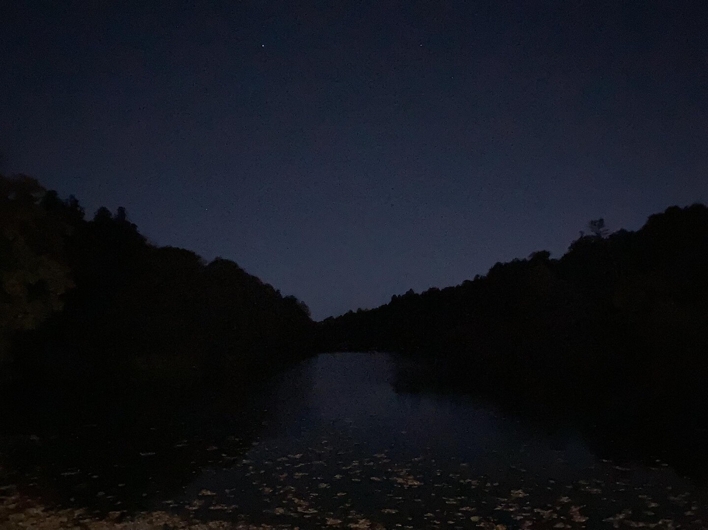 こんばんは^ ^ 今日はよく晴れた1日... / OBsunさんのモーメント | YAMAP / ヤマップ