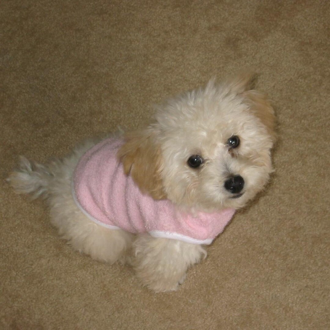 2023.11.22 いい夫婦の日 18... / Koro-Kenさんのモーメント | YAMAP / ヤマップ