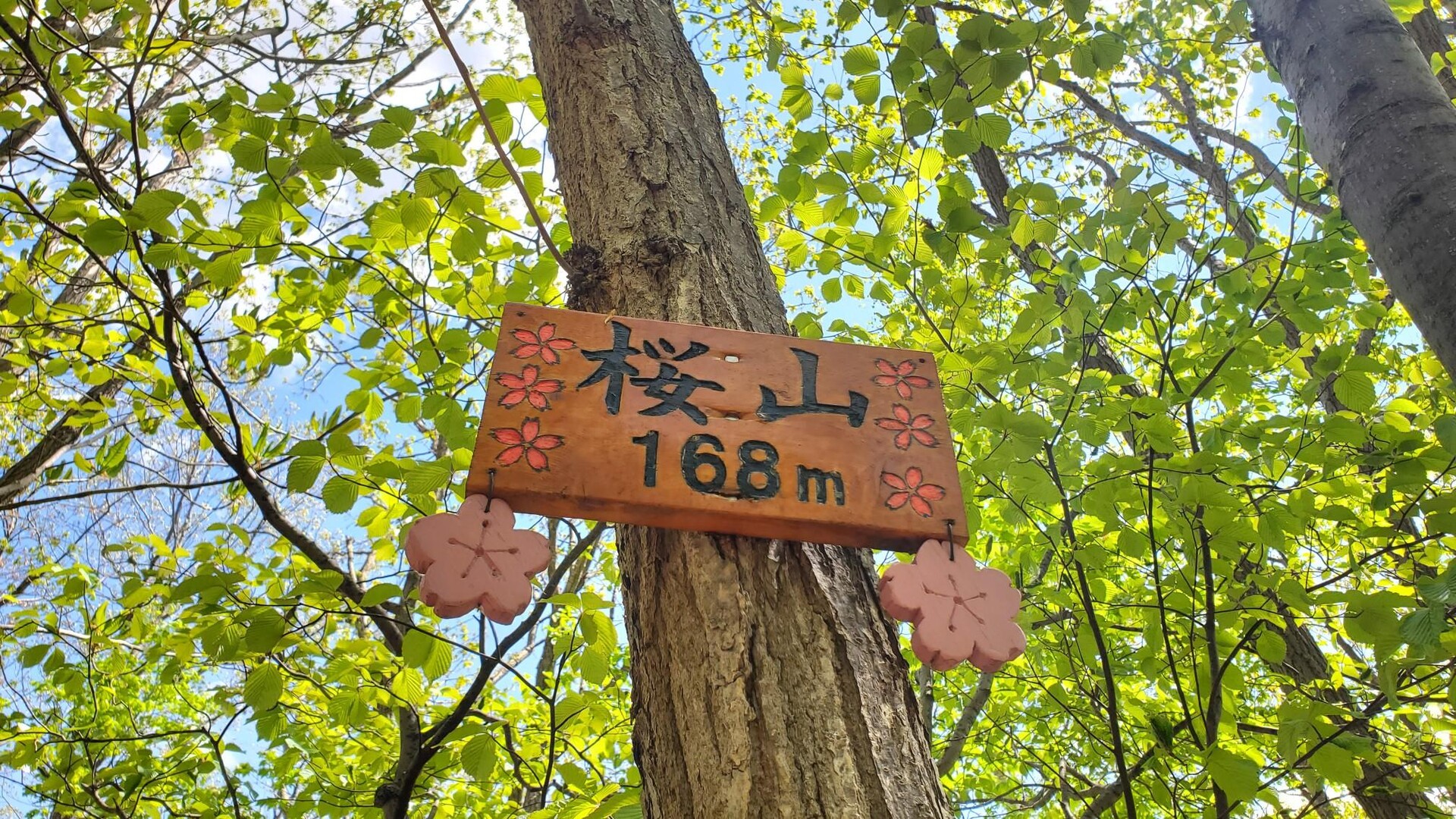 桜山 / agaさんの硬石山の活動データ | YAMAP / ヤマップ