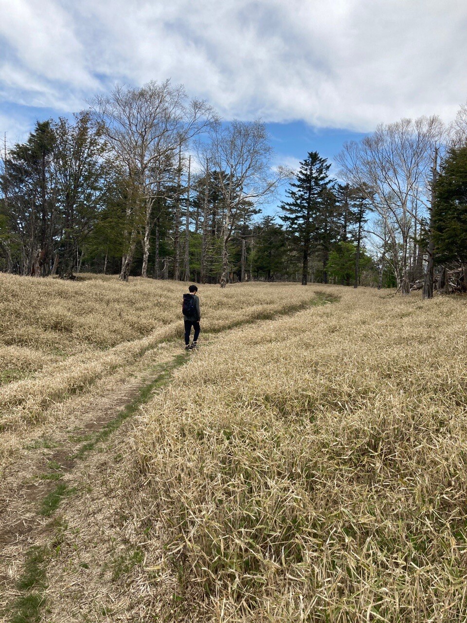 【大菩薩嶺】牛奥ノ雁ガ腹摺山を経由し大菩薩嶺へ / ryunosukeさんの大菩薩嶺・鶏冠山・大マテイ山の活動データ | YAMAP / ヤマップ