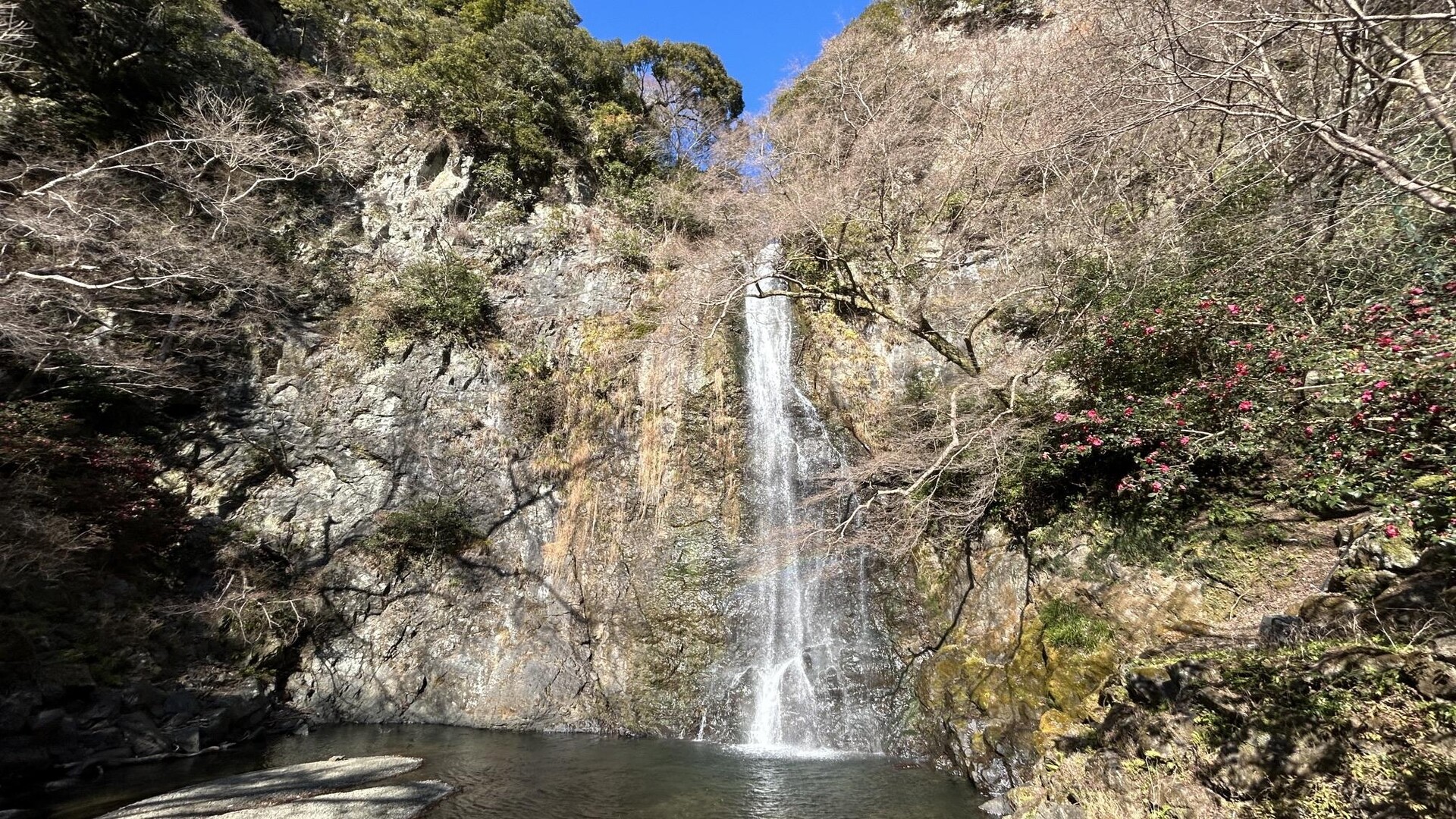 勝尾寺南山・最勝ヶ峰 / ポチ（旧HN：ぽややん）さんの六個山・鉢伏山・明ヶ田尾山・五月山の活動データ | YAMAP / ヤマップ