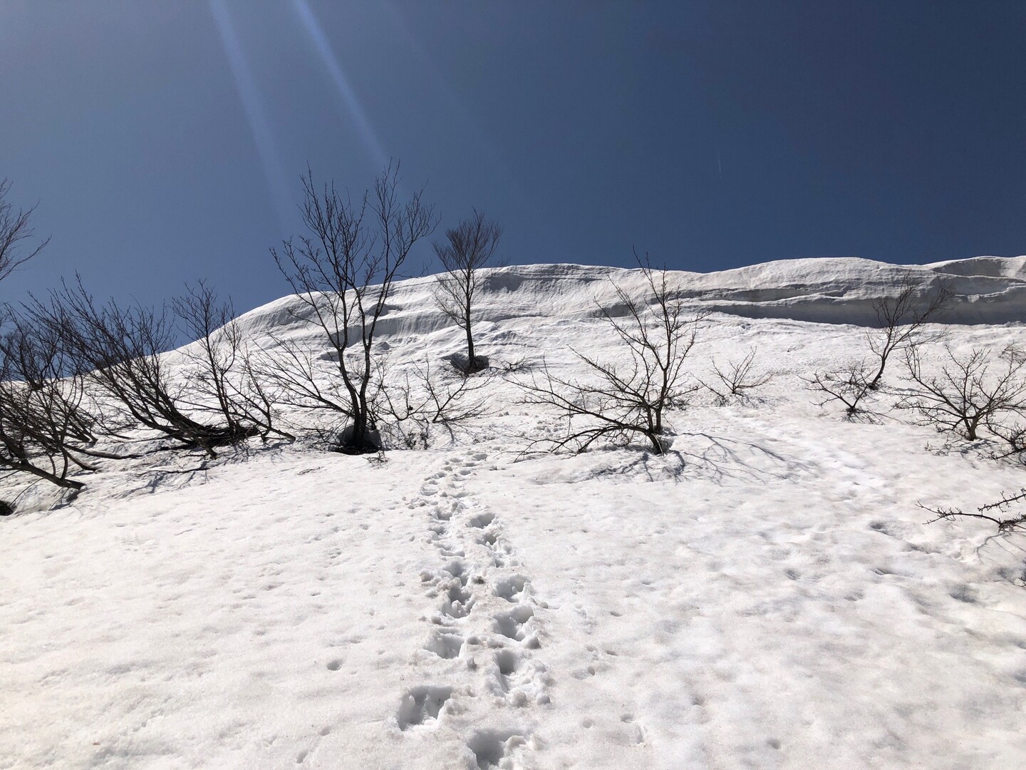 残雪の蘇武岳 / idasさんの蘇武岳の活動データ | YAMAP / ヤマップ
