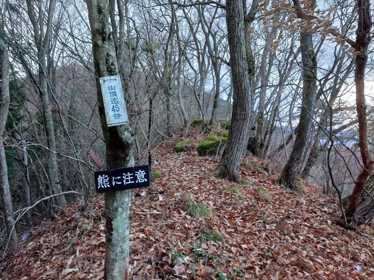 奇妙山 / yoさんの長野市の活動データ | YAMAP / ヤマップ