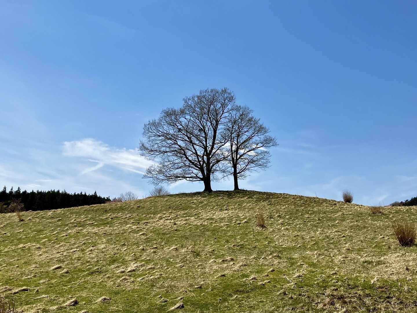 高原山の麓でサイクリング-2024-04-20 / ZSYさんのサイクリングの活動データ | YAMAP / ヤマップ