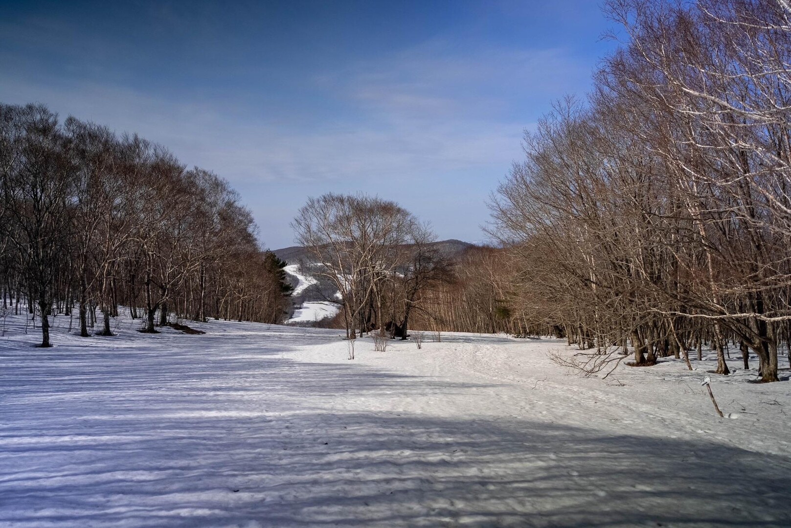 兜明神獄R5.3.21 / kenzyさんの兜明神嶽（兜明神岳）・岩神山の活動データ | YAMAP / ヤマップ