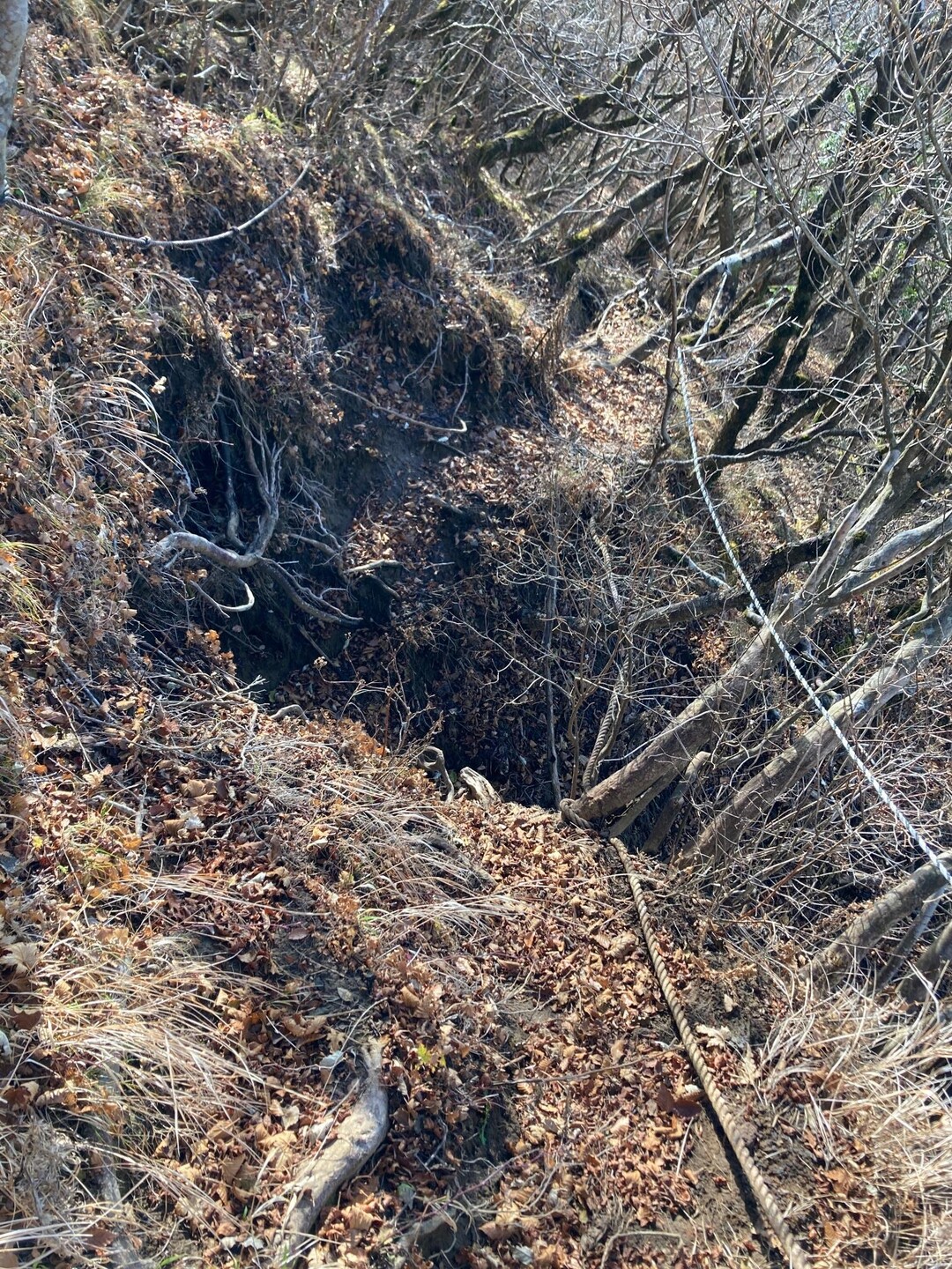 まさとさんの投稿したフィールドメモ | YAMAP / ヤマップ