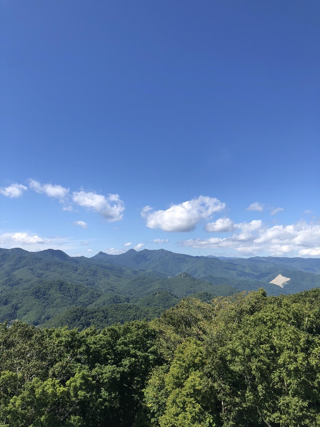 藻岩山PART 4 / mamikoさんの藻岩山の活動データ | YAMAP / ヤマップ