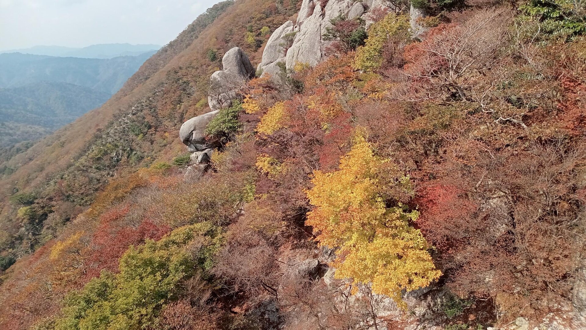 竜ヶ岳 / MILKさんの竜ヶ岳の活動データ | YAMAP / ヤマップ