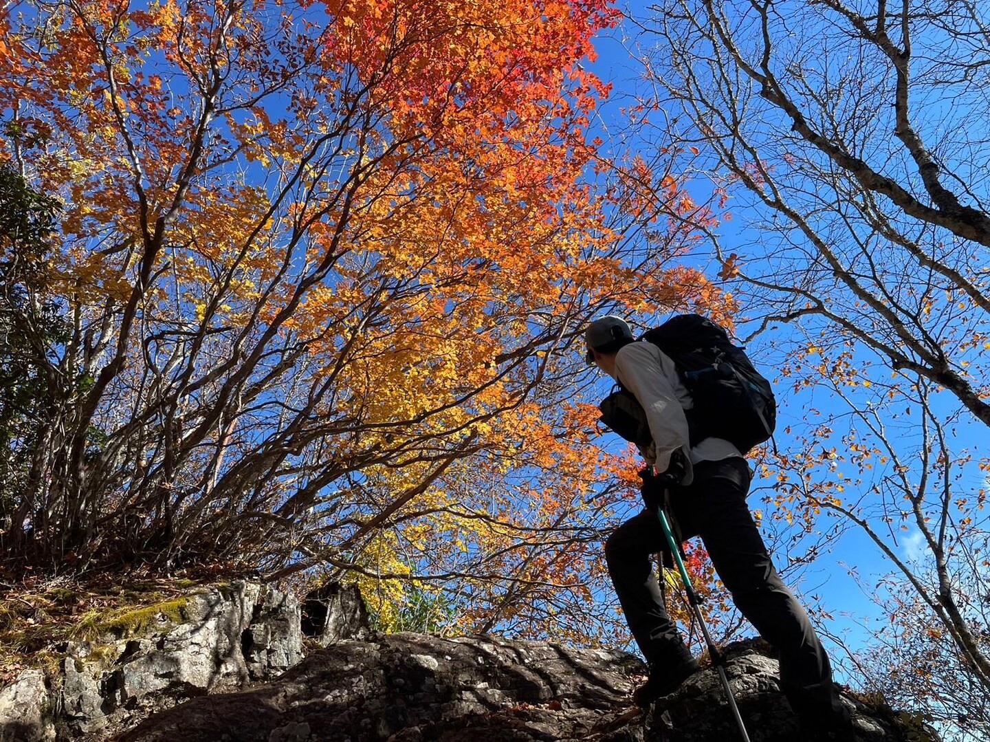 両神山 / Kam Shunさんの両神山・諏訪山・二子山の活動データ | YAMAP / ヤマップ