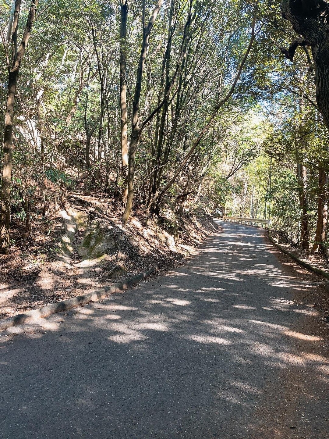 akkyさんの投稿したフィールドメモ | YAMAP / ヤマップ