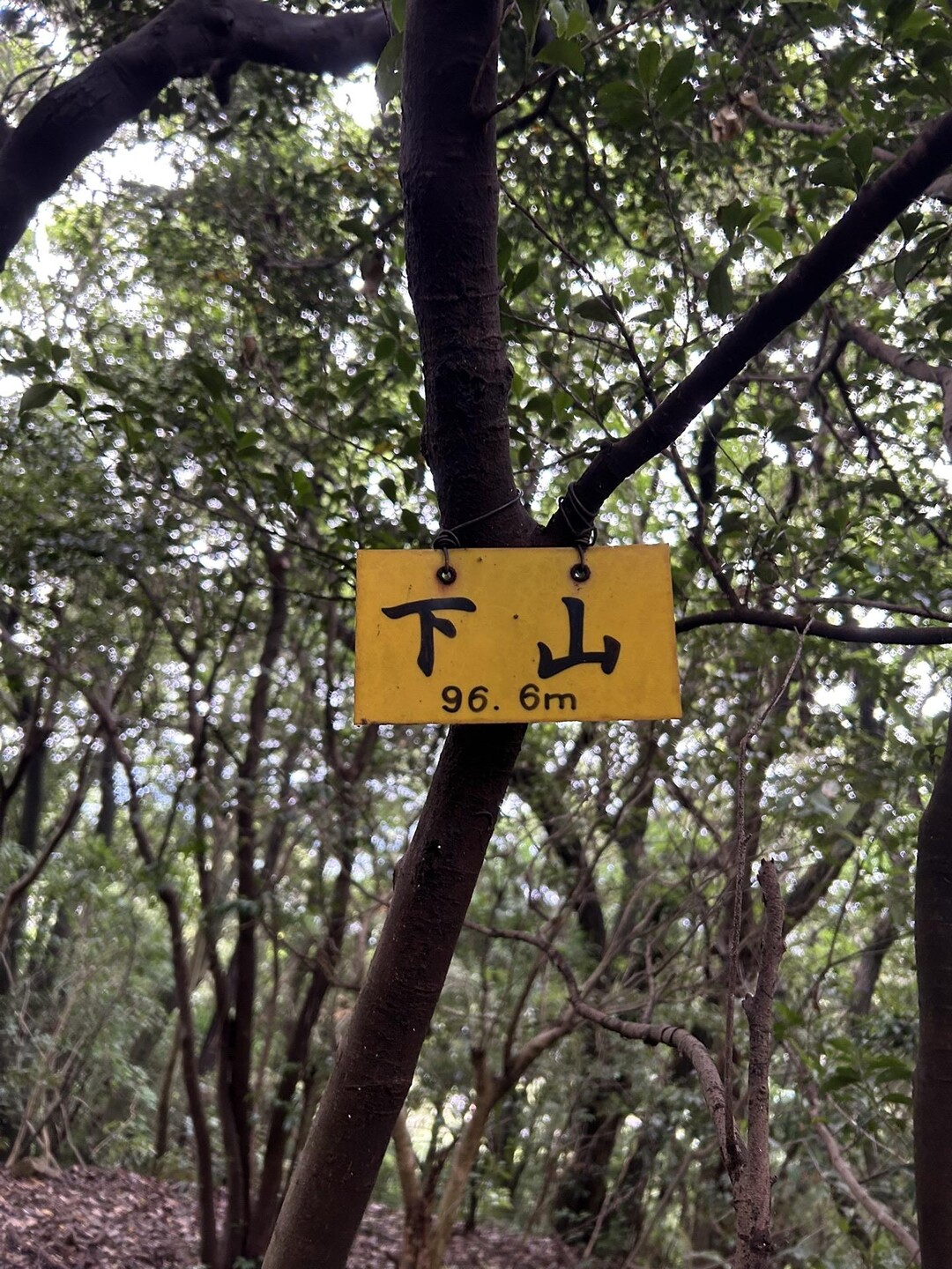 下山、仕事のついでに宗像エリアの低山へ① / t@ke-bowさんの許斐山の活動データ | YAMAP / ヤマップ