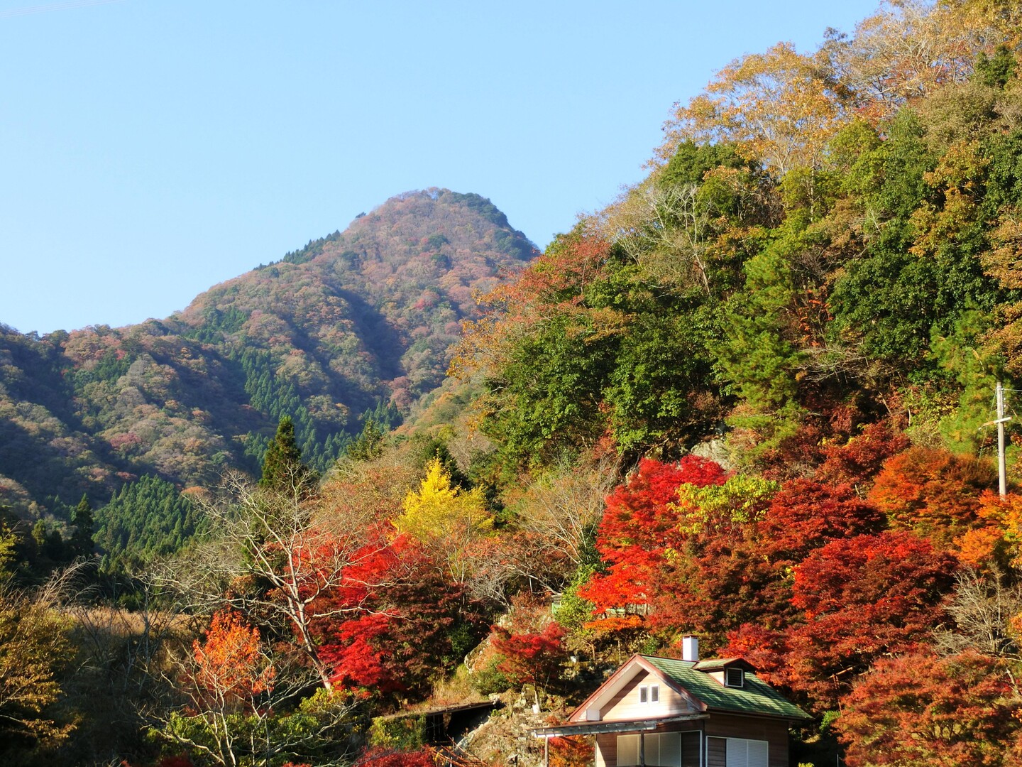 すばらしい紅葉＋岩巡り 明神山 20221112 / gmt-walkerさんの明神山・太郎岳の活動データ | YAMAP / ヤマップ