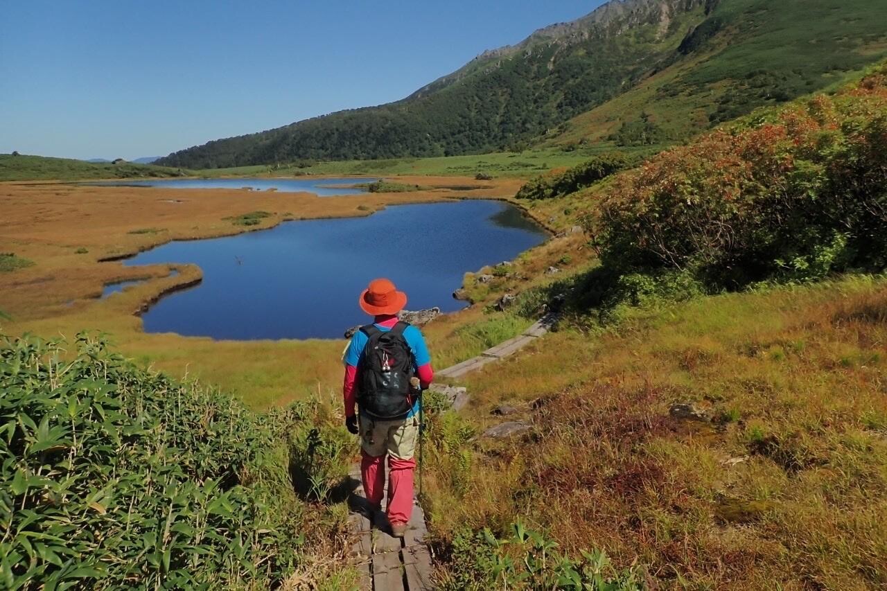紅葉🍁＆池塘 1591ピーク / すずめさんの大雪山系・旭岳・トムラウシの活動日記 | YAMAP / ヤマップ