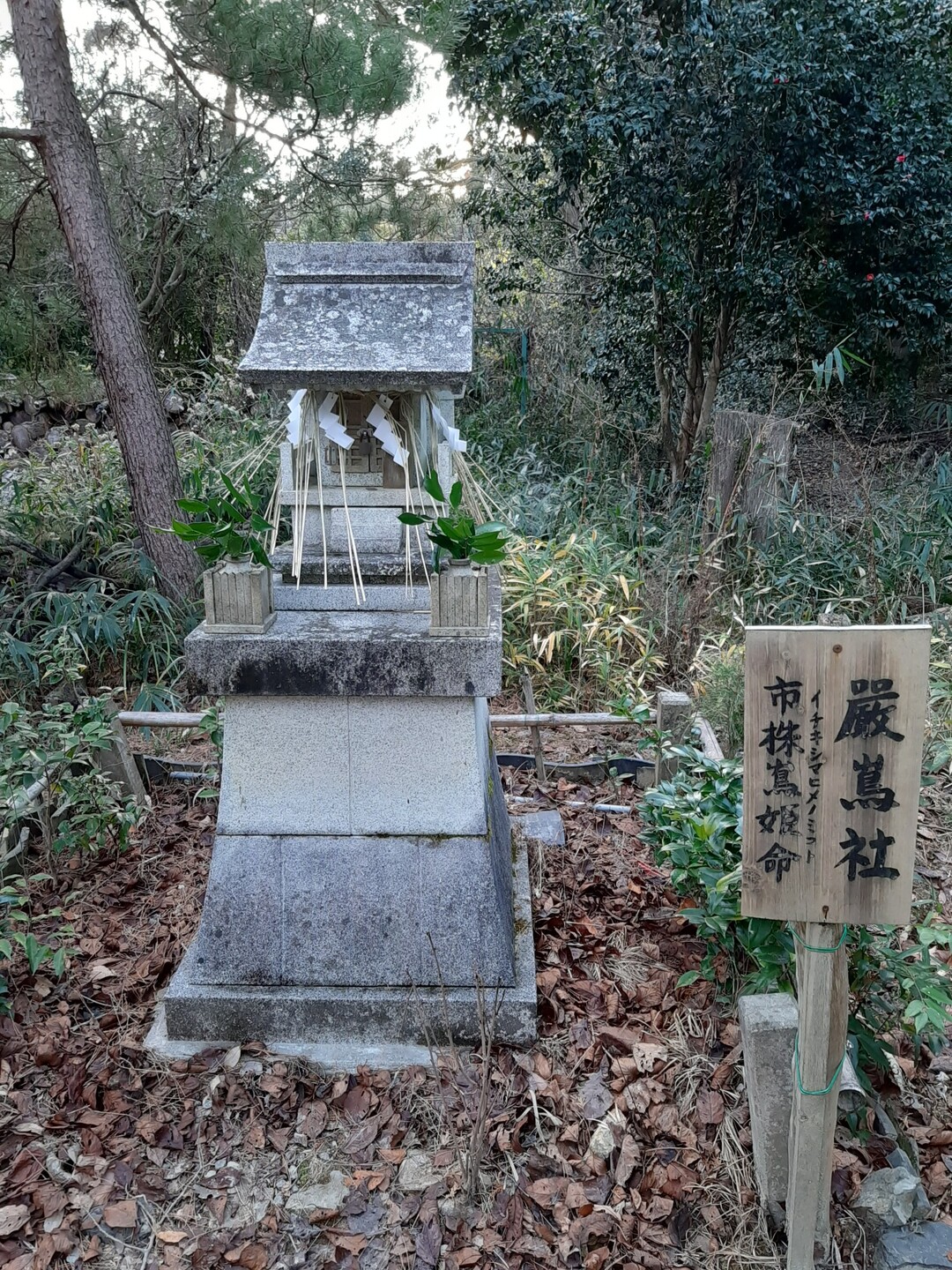 Mr.Kobaさんの投稿したフィールドメモ | YAMAP / ヤマップ