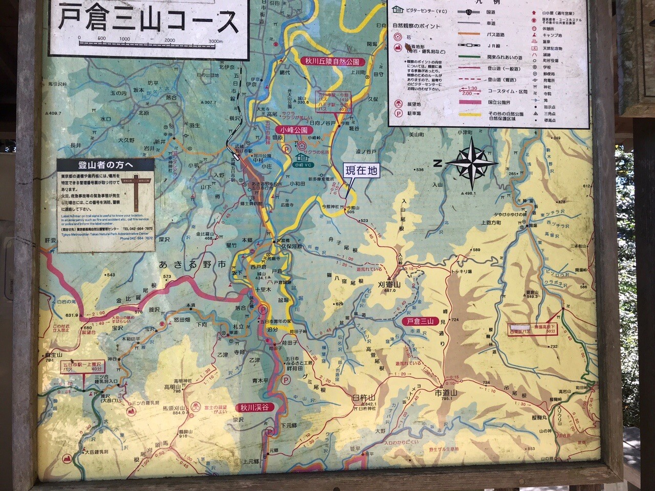 東京 今熊山・独標・豆佐嵐山・刈寄山2021-11-15 / monamonaさんの網代弁天山・網代城山の活動データ | YAMAP / ヤマップ