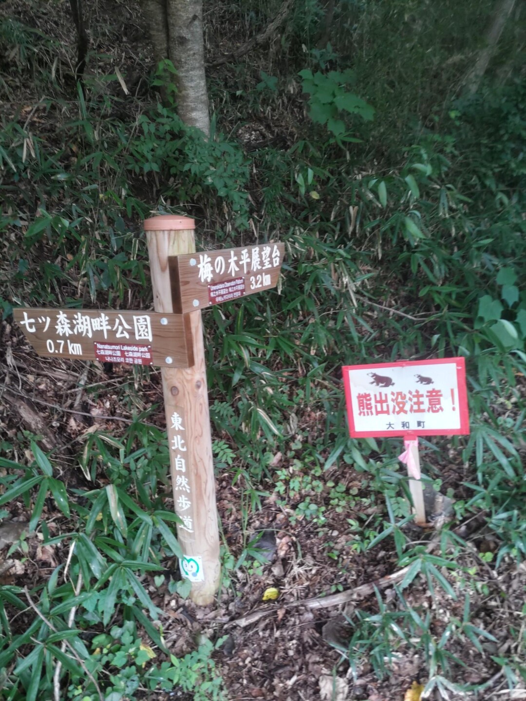 遂倉山・蜂倉山・鎌倉山 / Rioさんの七ツ森の活動データ | YAMAP / ヤマップ