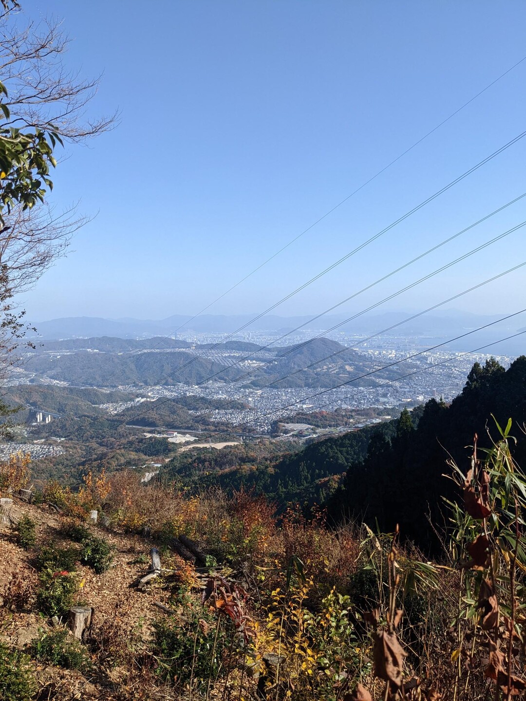 魚切〜河内峠〜荒谷林道を経て小畑山・極楽寺山 / jonasanさんの極楽寺山の活動データ | YAMAP / ヤマップ