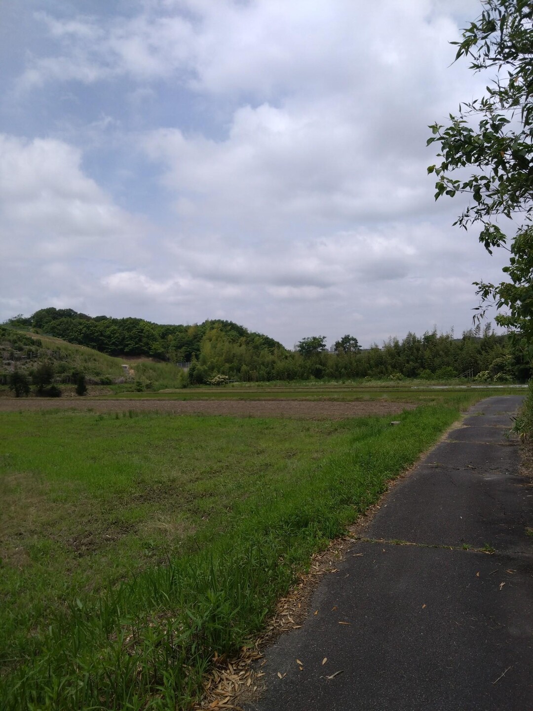 妙見山・高塚山 / kinu235（きぬ）さんの神戸市の活動データ | YAMAP / ヤマップ