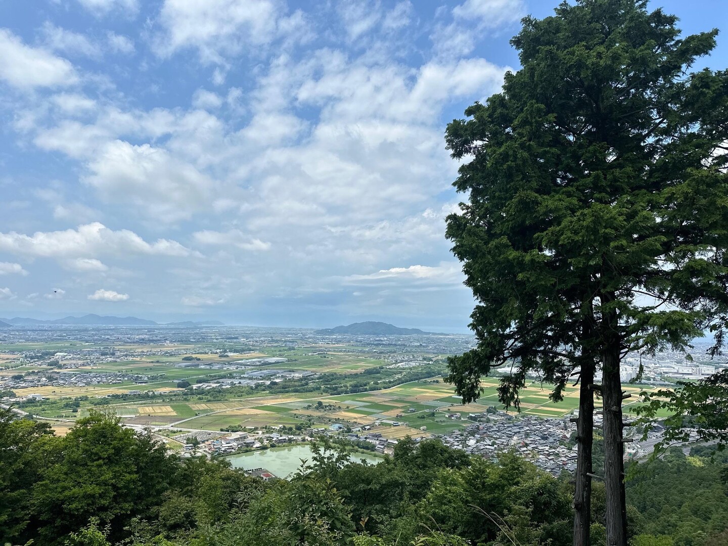 青龍山 多賀SAから-2024-06-16 / こういちさんの青龍山の活動データ | YAMAP / ヤマップ