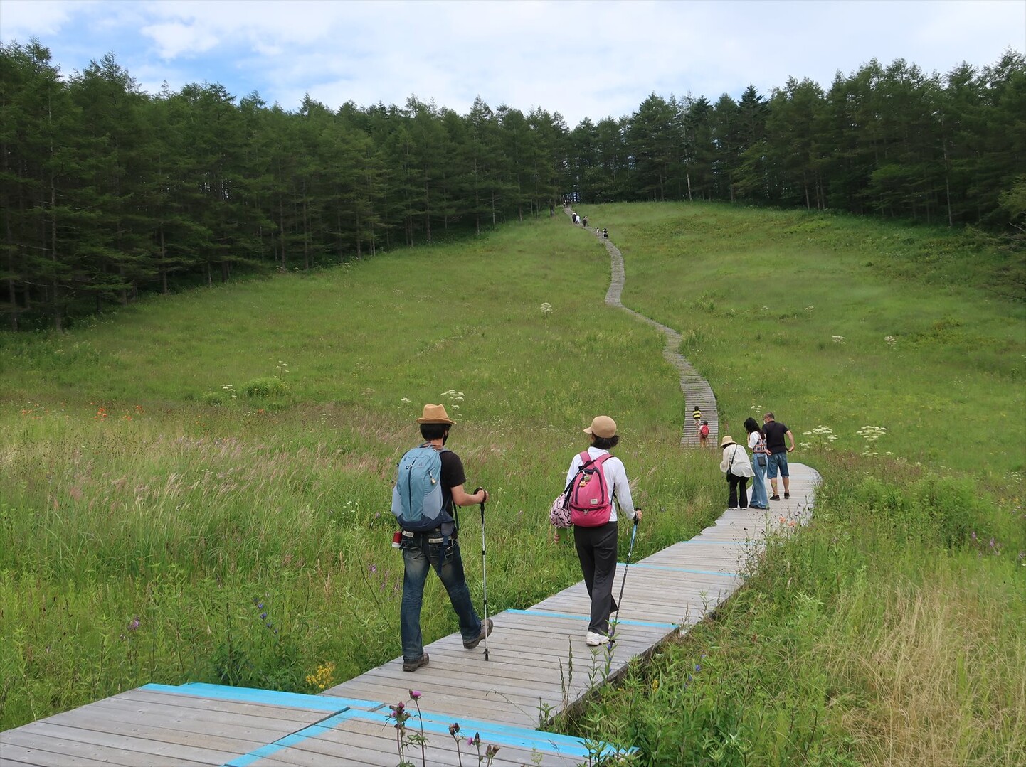 アカノラ山・入笠山 / sensaさんの入笠山の活動データ | YAMAP / ヤマップ