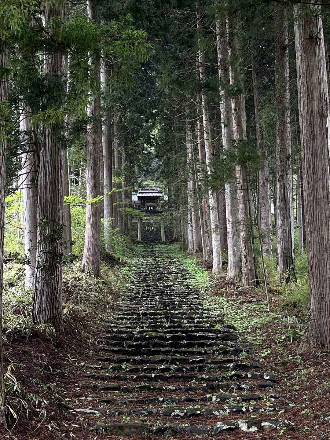 荒戸山 / yoshimiさんの荒戸山の活動データ | YAMAP / ヤマップ