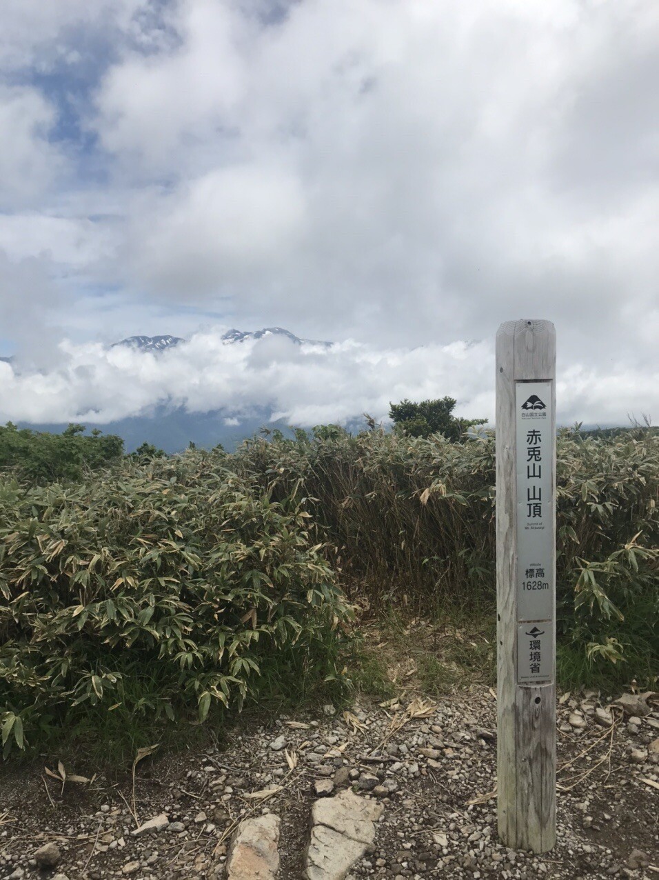 赤兎山に行ってきました🐇⛰ 湿原の風景... / Mikarinさんのモーメント | YAMAP / ヤマップ