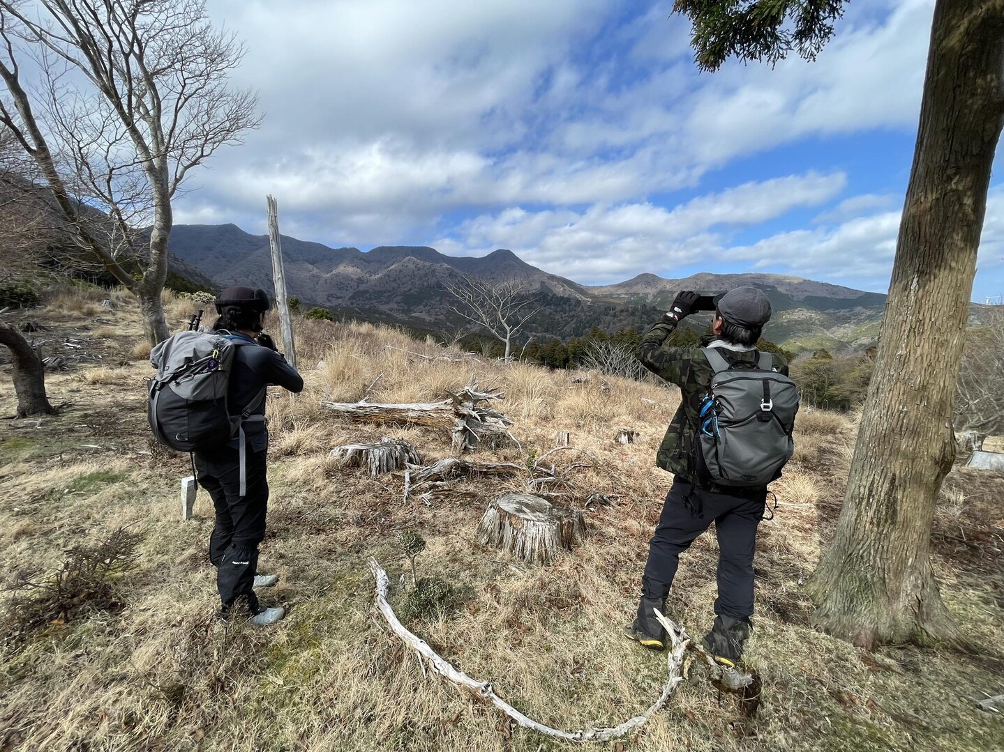海抜0mから天城山 / はやぶさんの天城山・鉢ノ山・三筋山の活動日記 | YAMAP / ヤマップ
