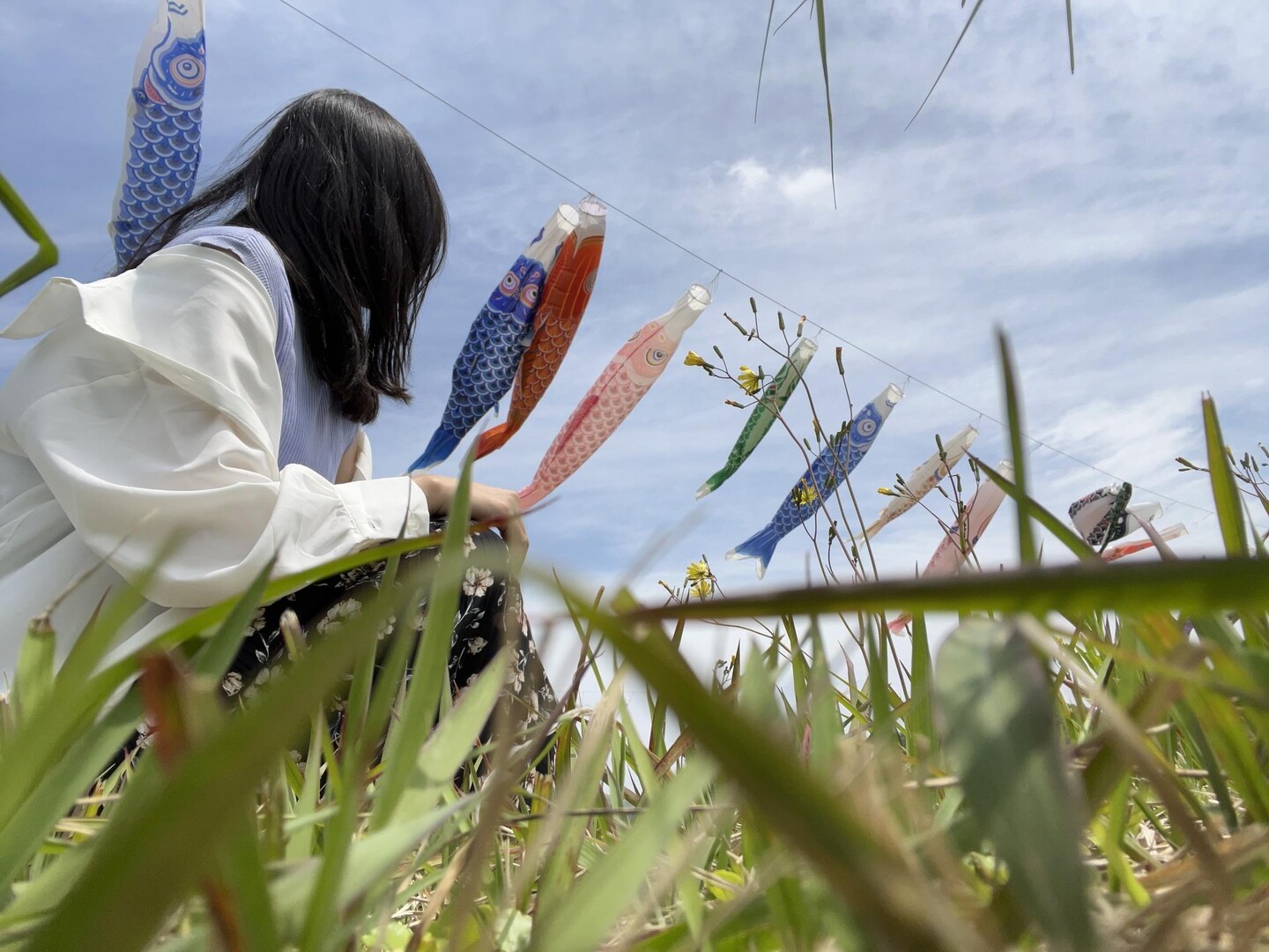 兵庫県たつの市と太子町 大好きなチー... / MIHOさんのモーメント | YAMAP / ヤマップ