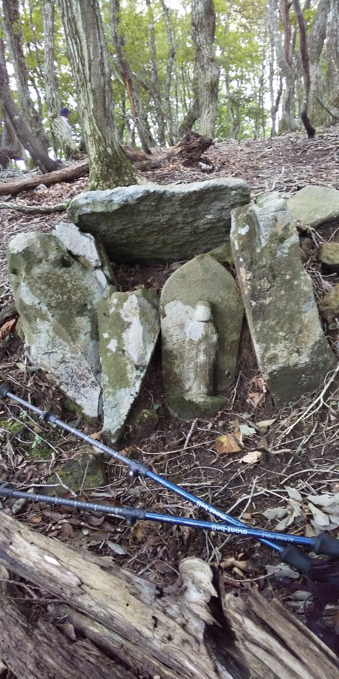 三川山西、799m峰-古道 / かぜさんの香美町の活動データ | YAMAP / ヤマップ