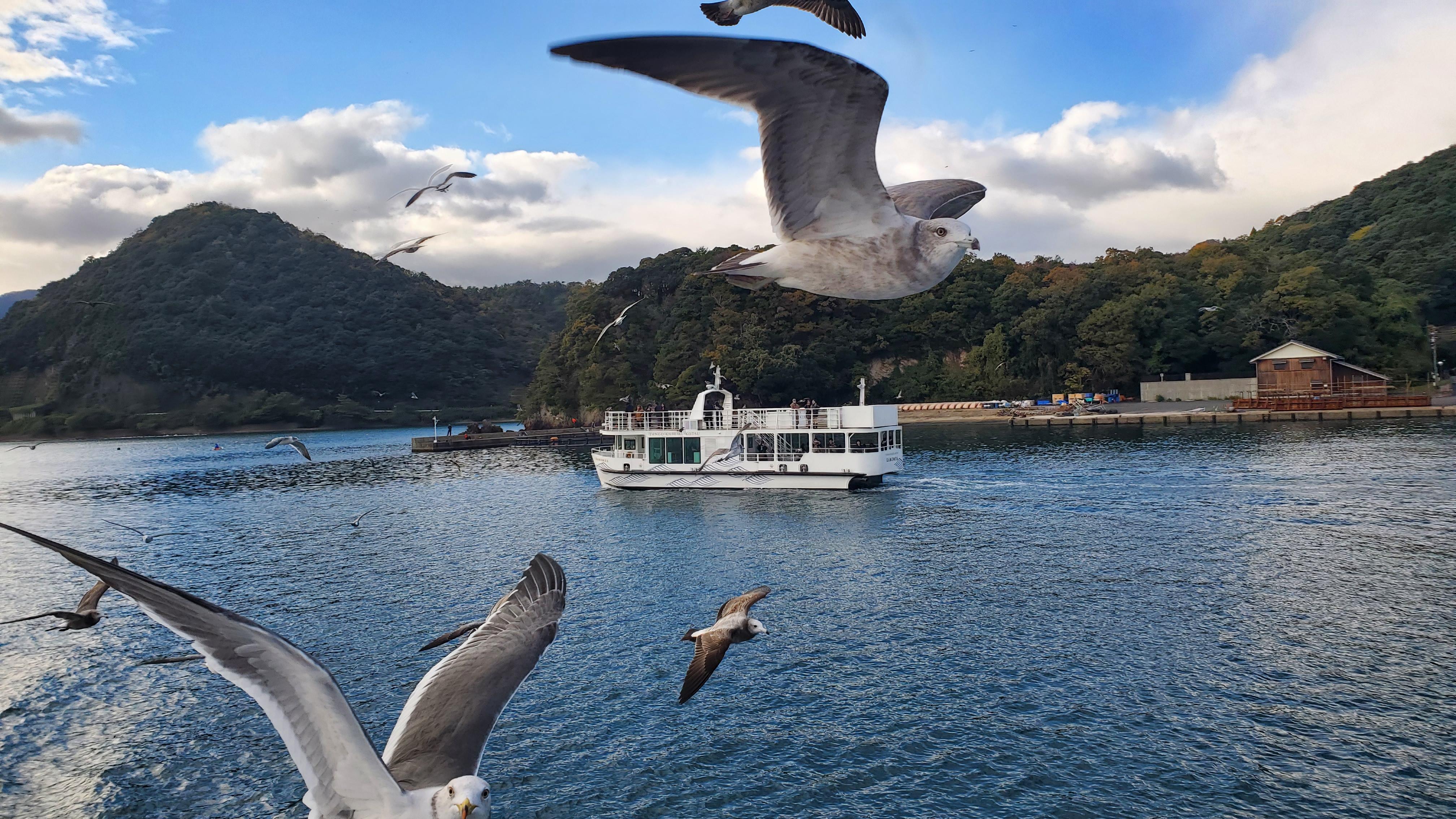 先の活動日記（https://yamap... / airiskochanさんのモーメント | YAMAP / ヤマップ