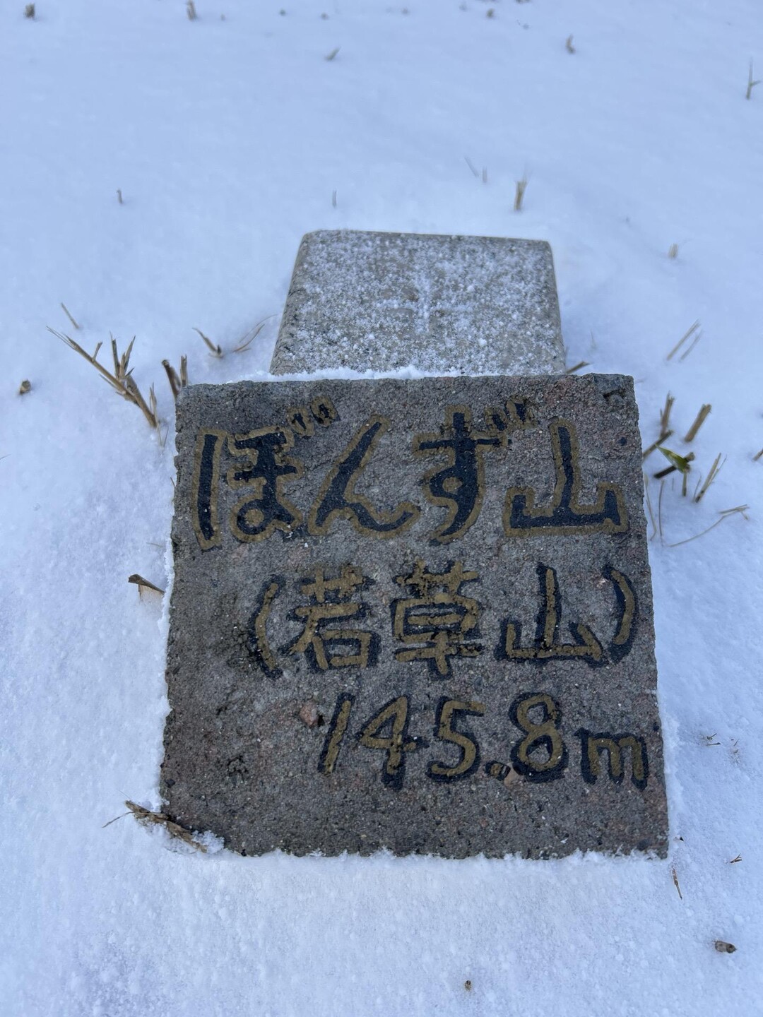 ぼんず山（若草山）-2024-12-11 / tana-botaさんの測量山・母恋富士の活動データ | YAMAP / ヤマップ