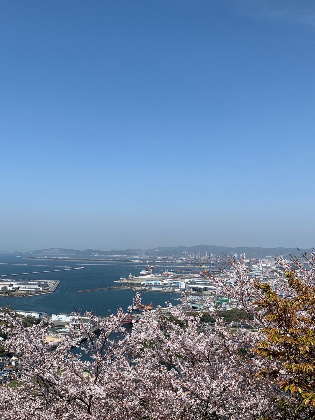 高津子山 紀三井寺、和歌山城 / Lucy maさんの名草山の活動データ | YAMAP / ヤマップ